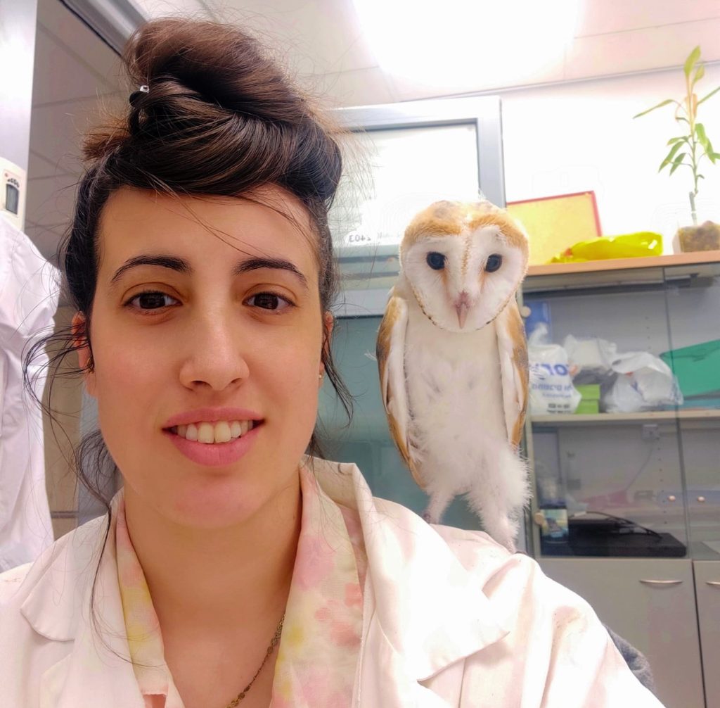 shainer lab – Technion WP-CIS – NET – site